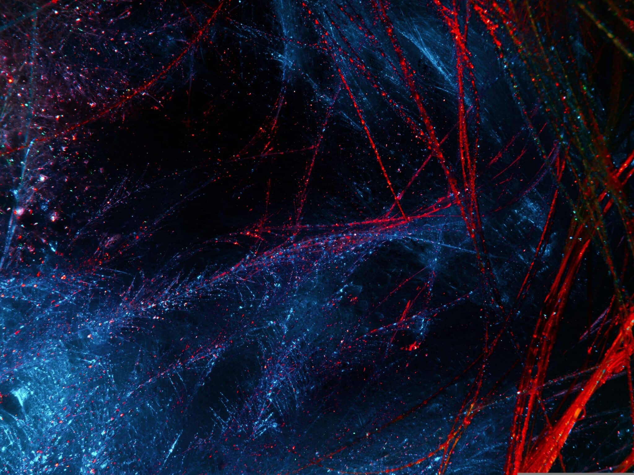 Alles zum Thema digitale Kunst